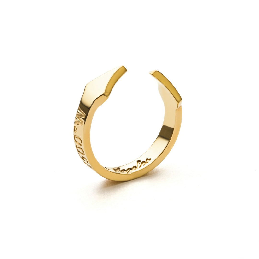 Meridian Ring - Ring with Pointed Arrows and Custom Coordinates, price ...
