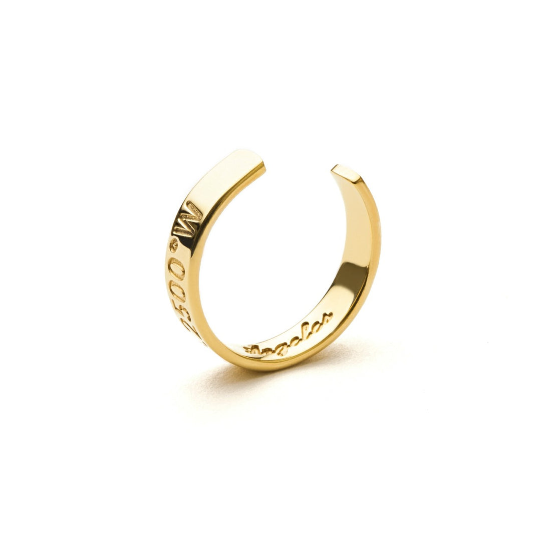 Buy nile ring with Custom Coordinates, price – Coordinates Collection